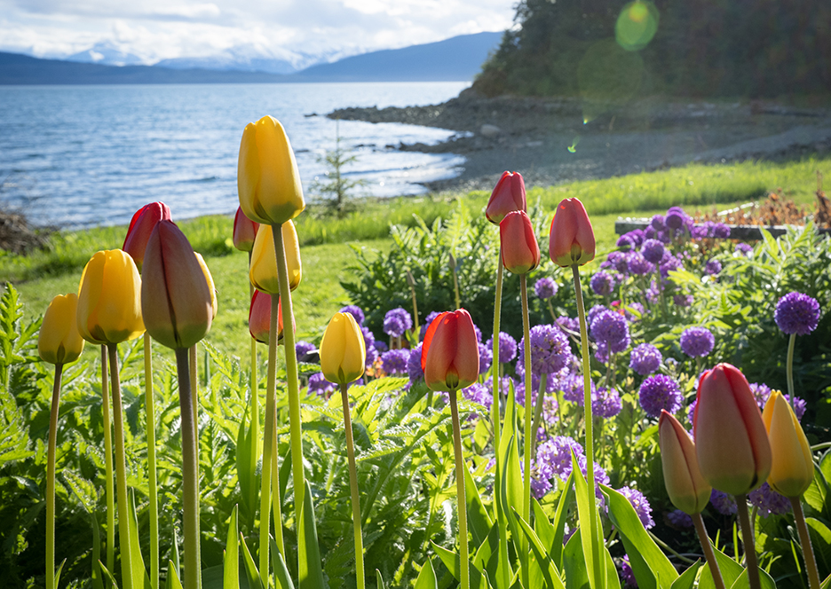 Spring Blooms and Garden Getaways | Extended Weekend Getaways